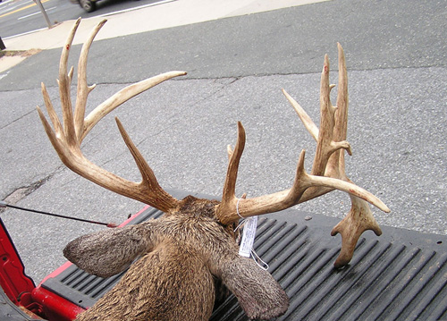 An A+ Atypical | Deer & Deer Hunting